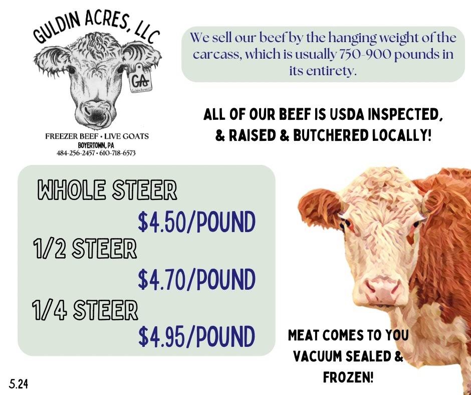 All About Our Beef – Guldin Acres LLC
