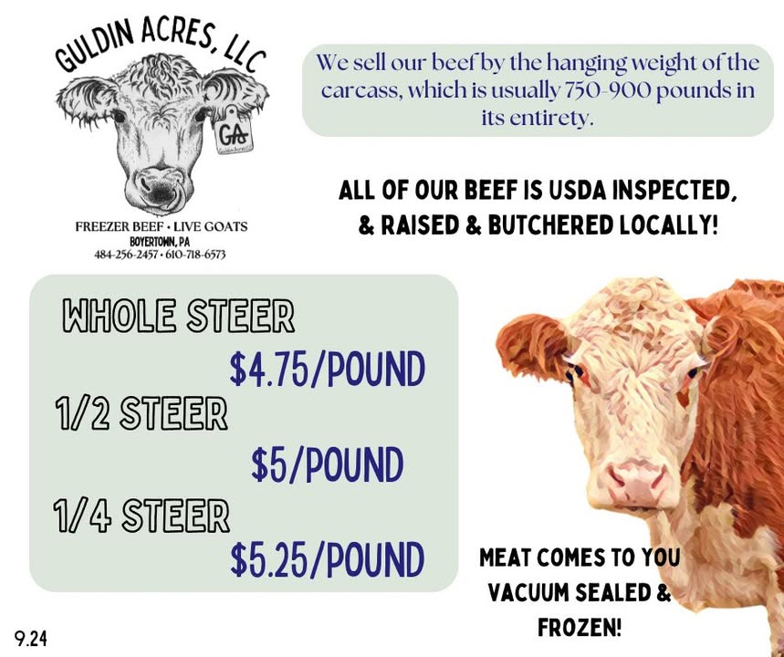 All About Our Beef – Guldin Acres LLC